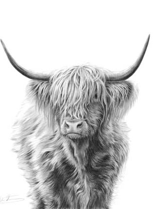 Art Gallery Preston | Paintings Lancashire | Artwork Garstang